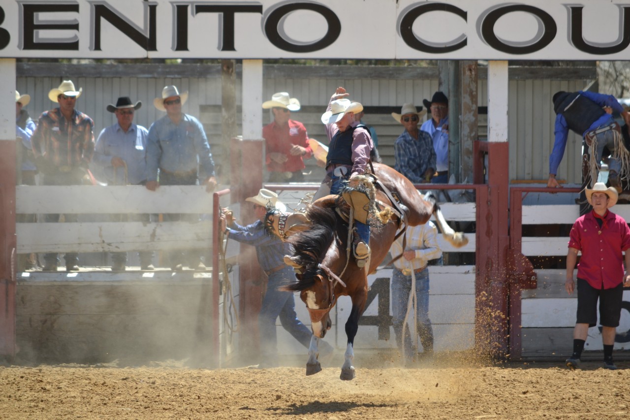 Saddle Horse Show and Rodeo starts June 23 | BenitoLink