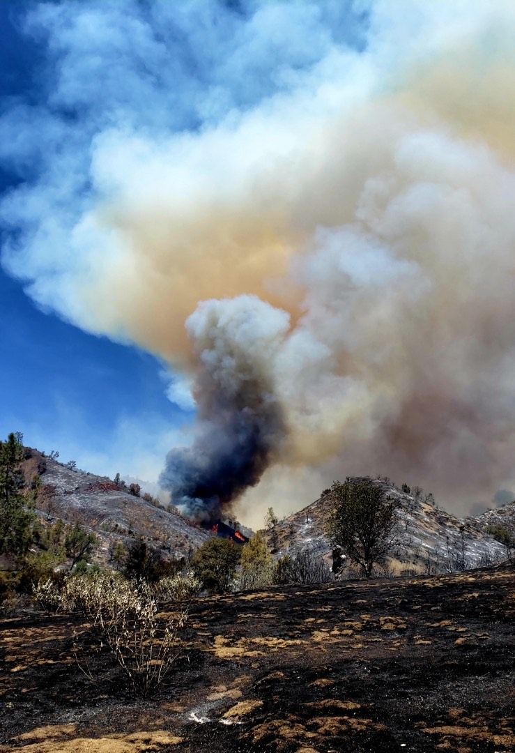 Coyote Fire continues burning near Panoche Valley | BenitoLink