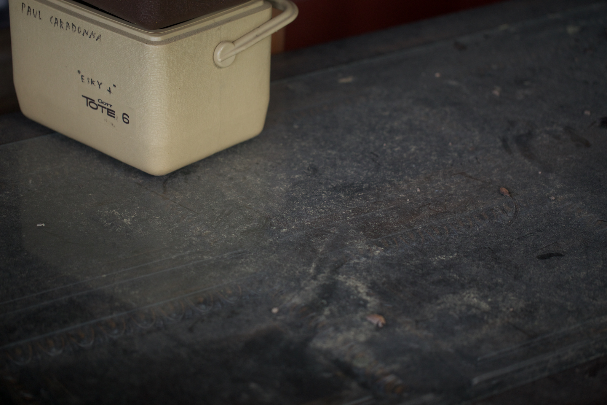 Rain and renewal – Macrosystems Ecology Laboratory