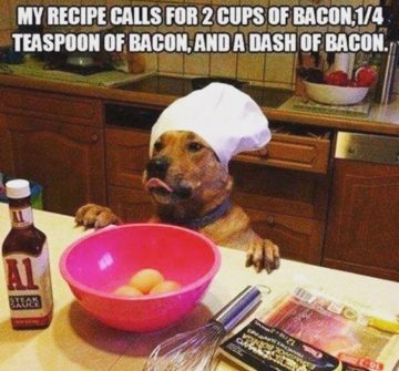37 Funny Bacon Memes for 2025 - BENSA Bacon Lovers Society