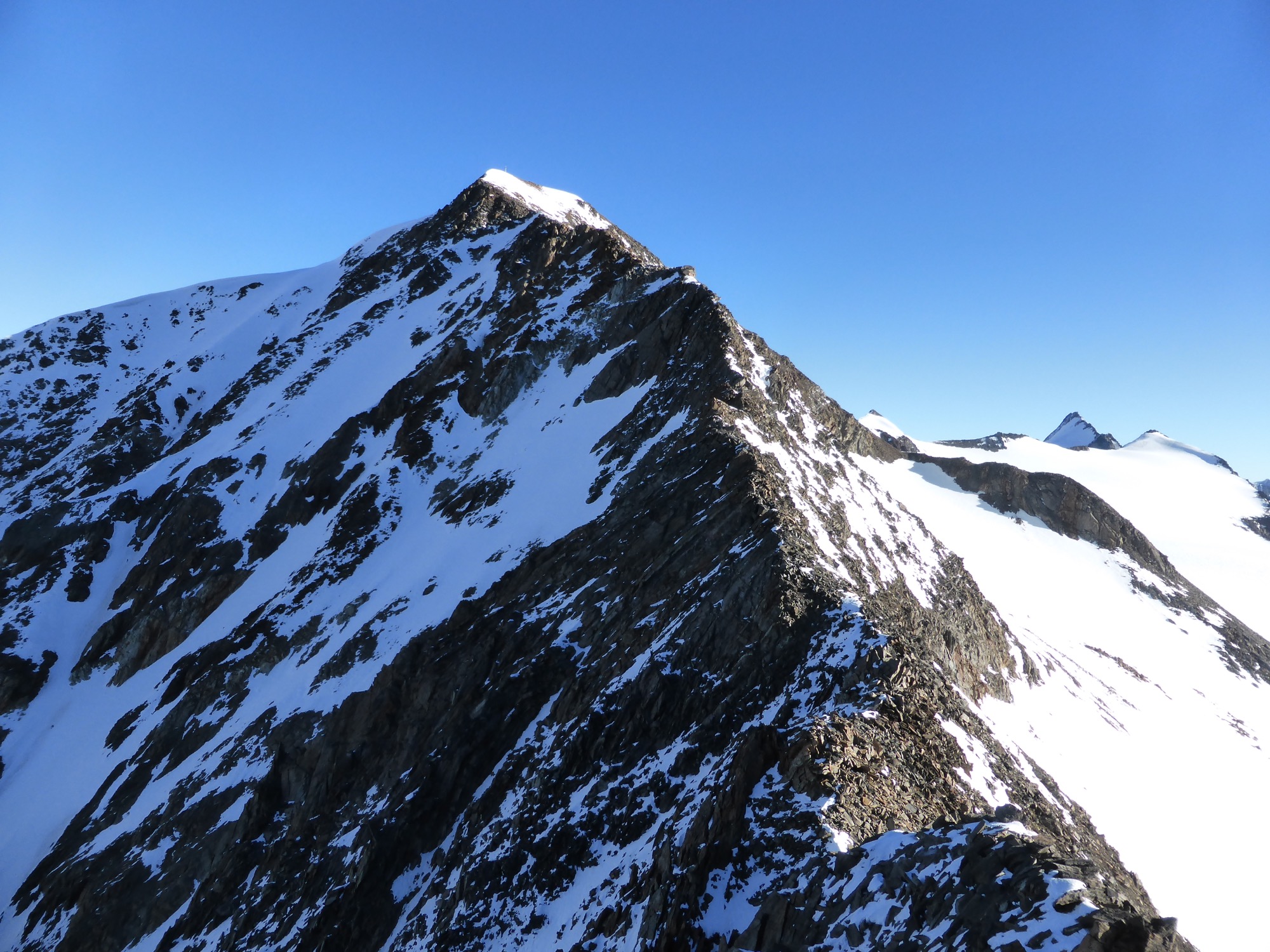 Similaun 3606m | BERGPORTAL Hochtouren | Ötztaler Alpen