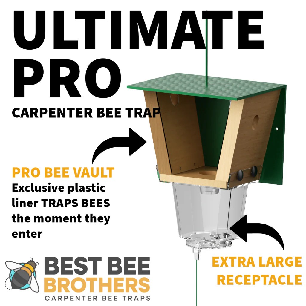 Ultimate Pro Carpenter Bee Trap With Bee Vault And Extra Large Extern