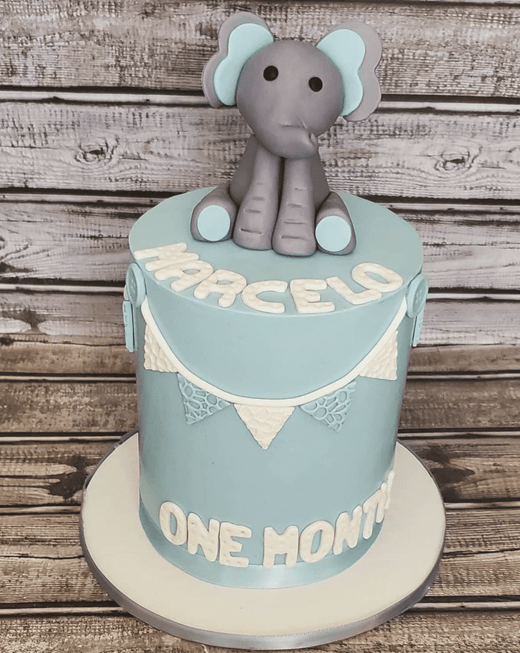 Elephant Cake Design Images (Elephant Birthday Cake Ideas)