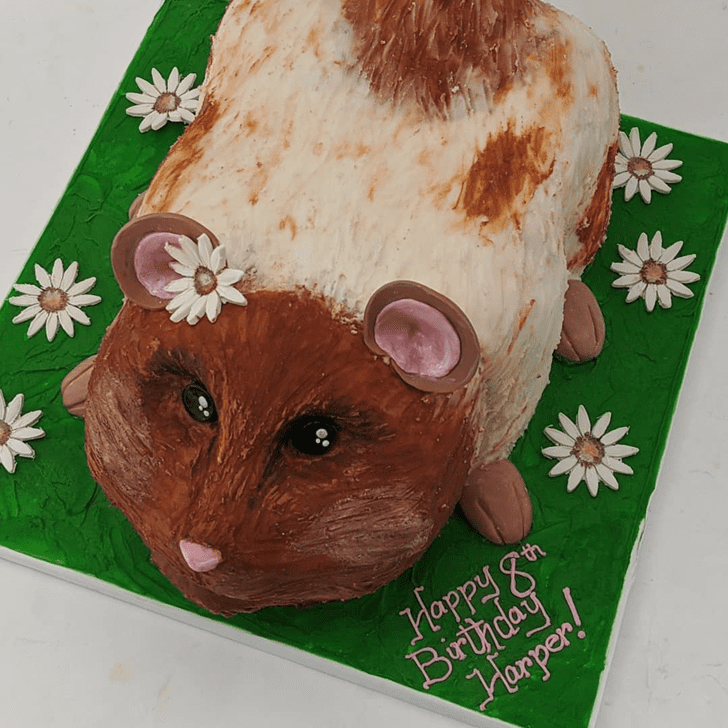 Hamster Cake Design Images (Hamster Birthday Cake Ideas)