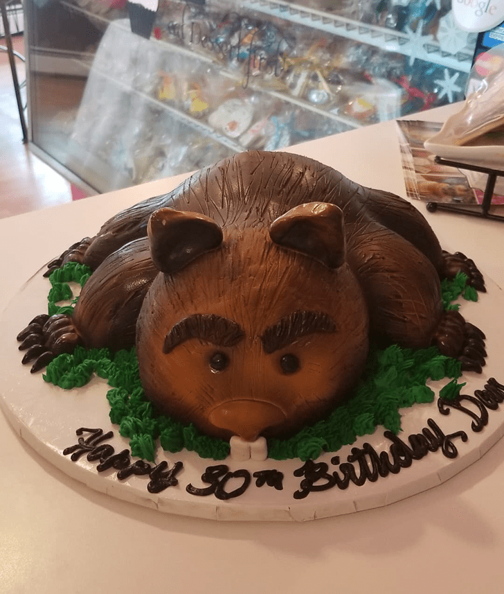 Wombat Cake Design Images (Wombat Birthday Cake Ideas)