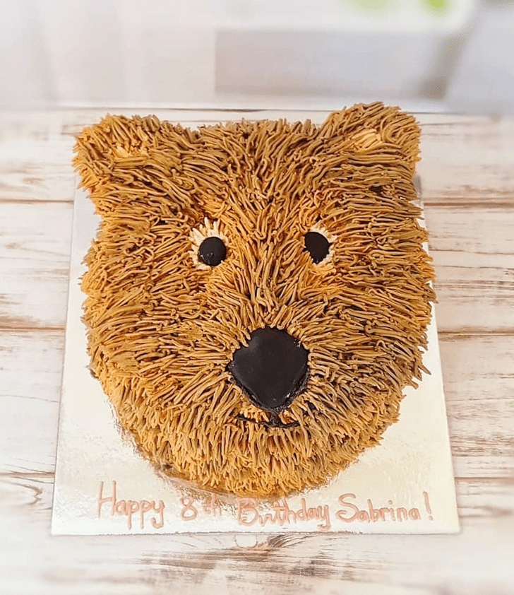 Wombat Cake Design Images (Wombat Birthday Cake Ideas)