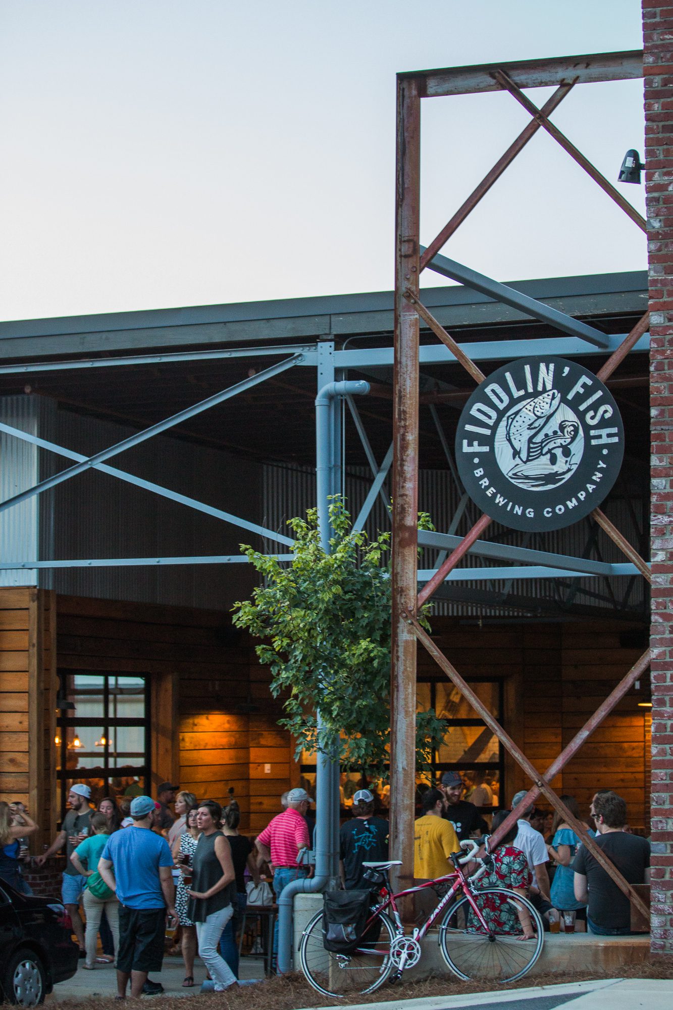 Fiddlin' Fish - Best of Winston