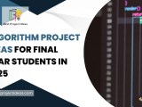 25 Top Algorithm Project Ideas For Final Year Students