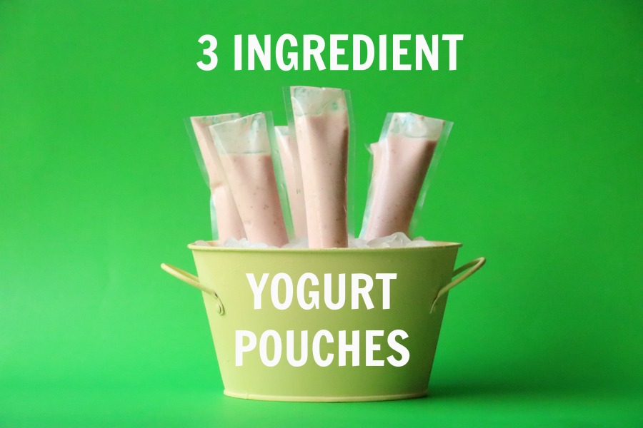 Back to School: 3 Ingredient Yogurt Pouches - Betsy Ramirez