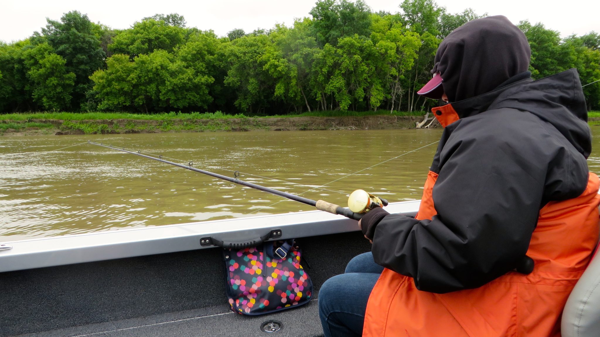 Hooked - Between Brush Strokes