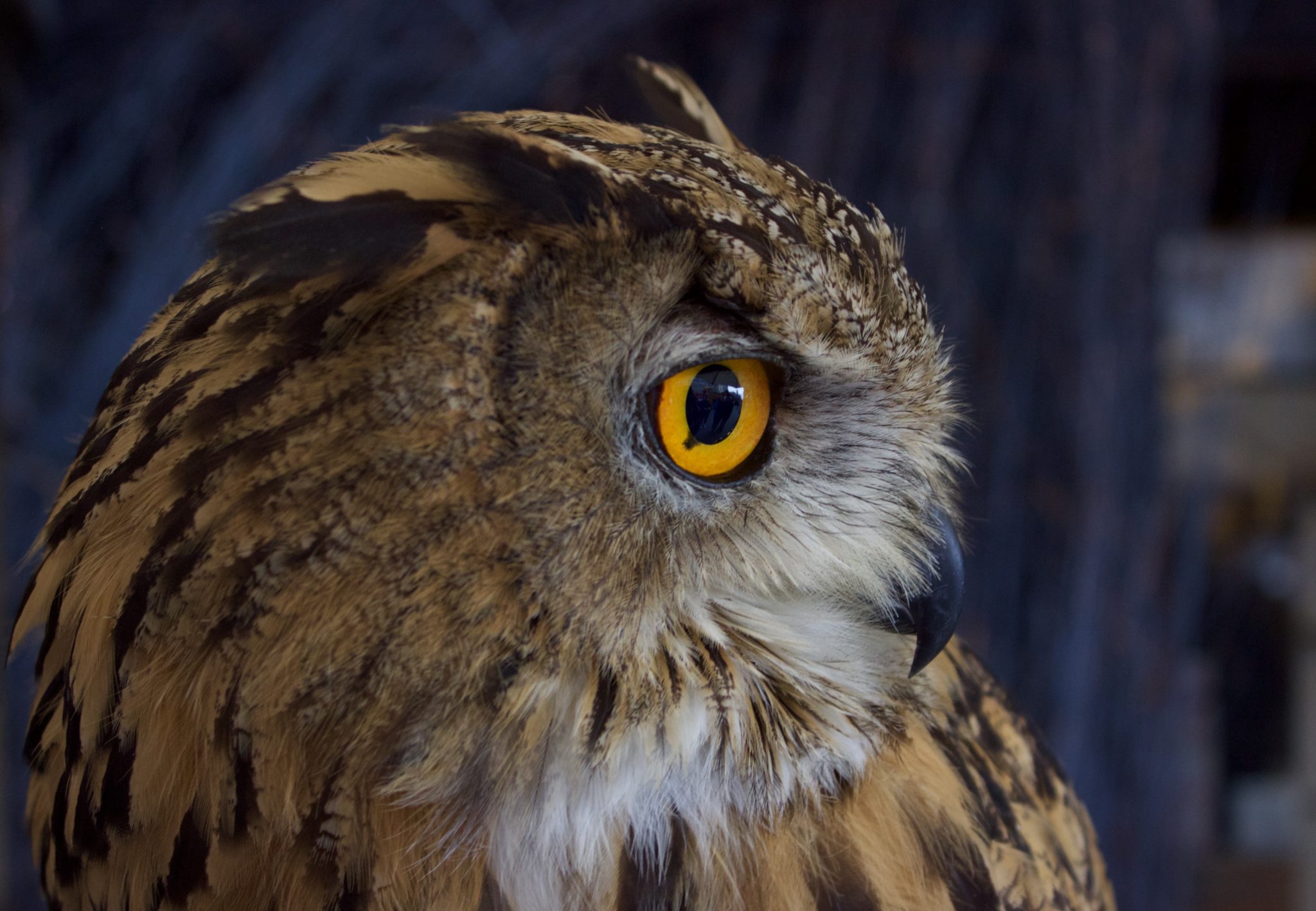 It's not the camera, but who's behind it - Between Brush Strokes