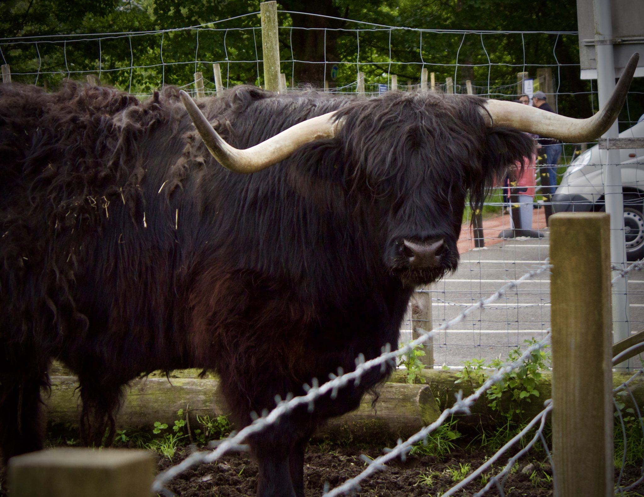 11 reasons why you shouldn’t visit The Highlands - Between Brush Strokes