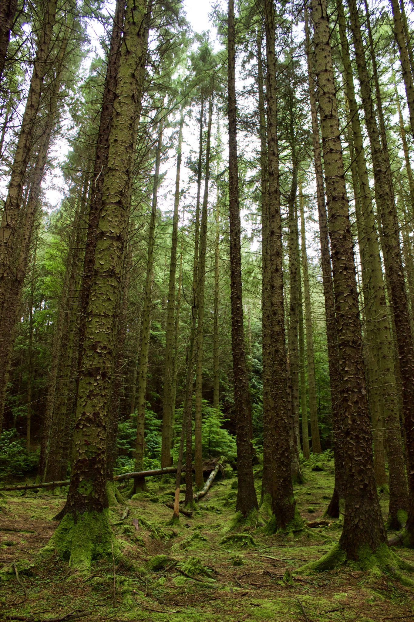 When you take the Game of Thrones tour, you walk or you lag behind