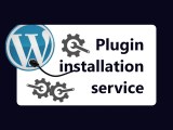 Plugin Installation Service Beycanpress