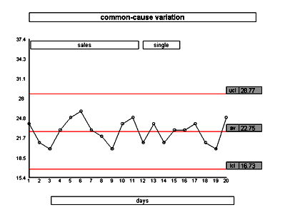 Causes of variation – Vanguard Consulting Ltd