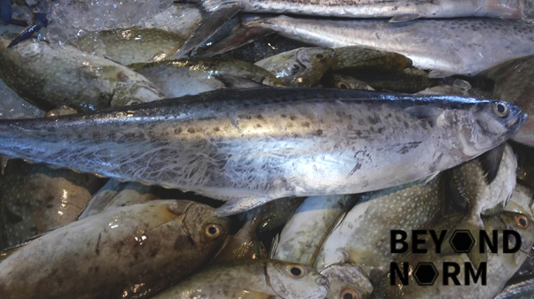 How-To: Make Fish Paste from Scratch