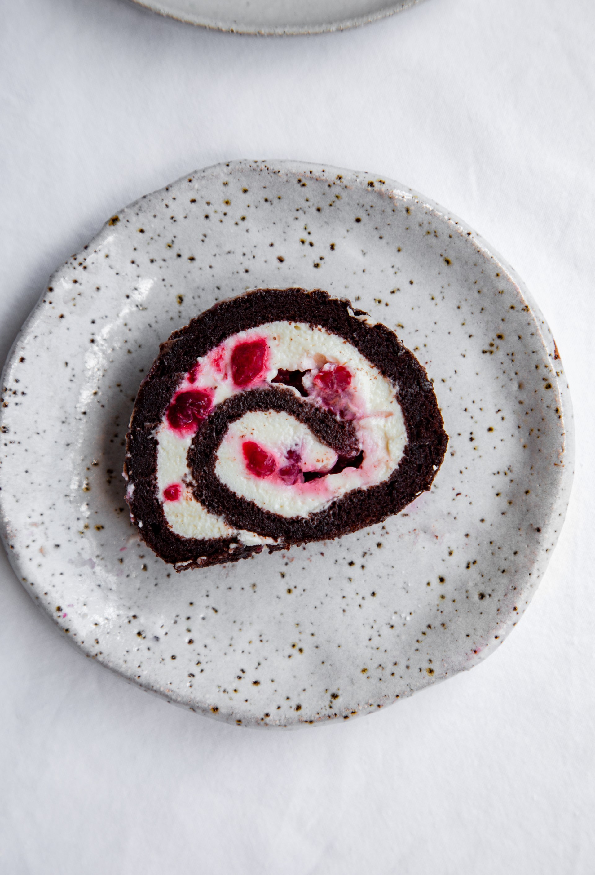 Chocolate and Raspberry Roulade – Beyond Our Sky
