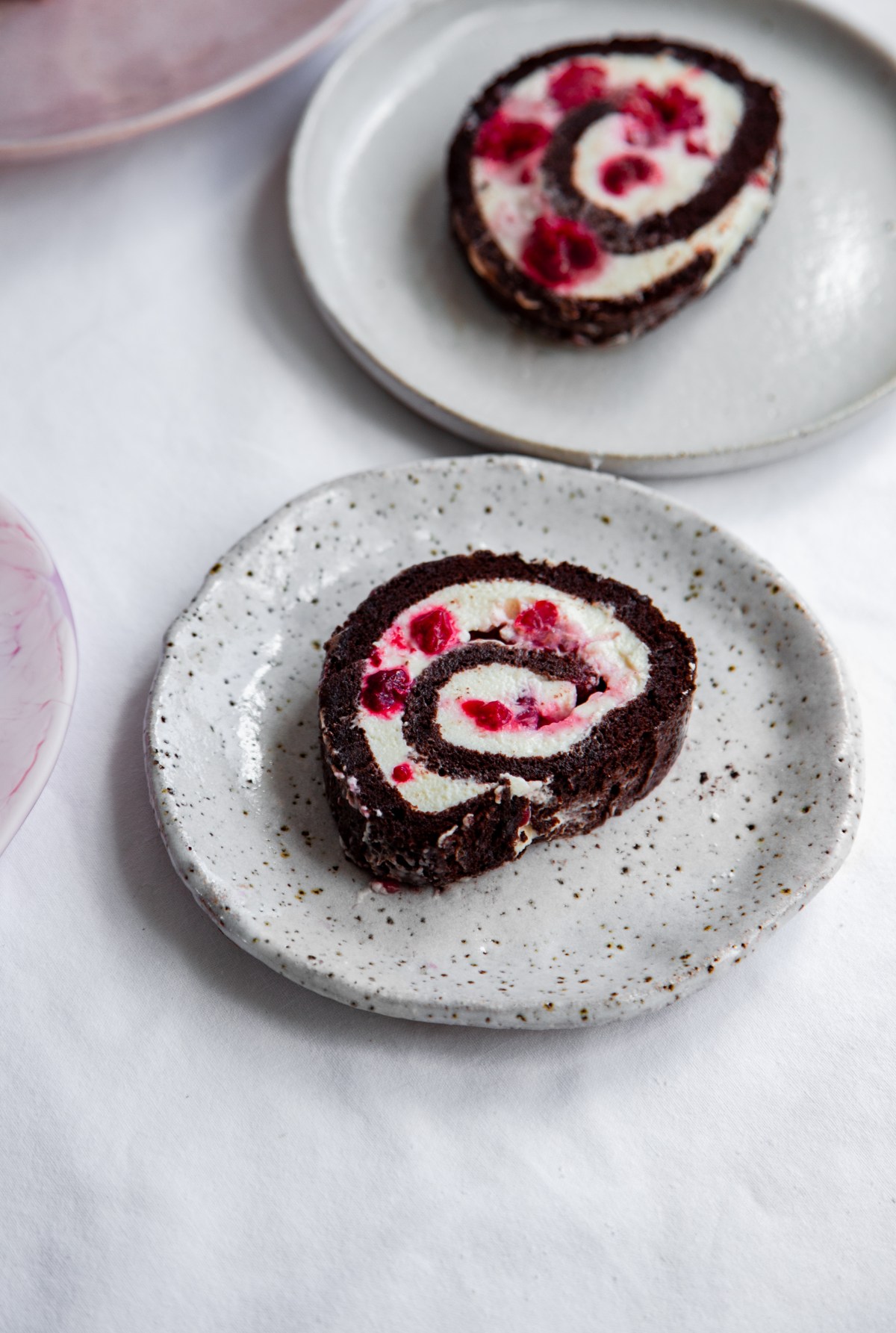Chocolate and Raspberry Roulade – Beyond Our Sky
