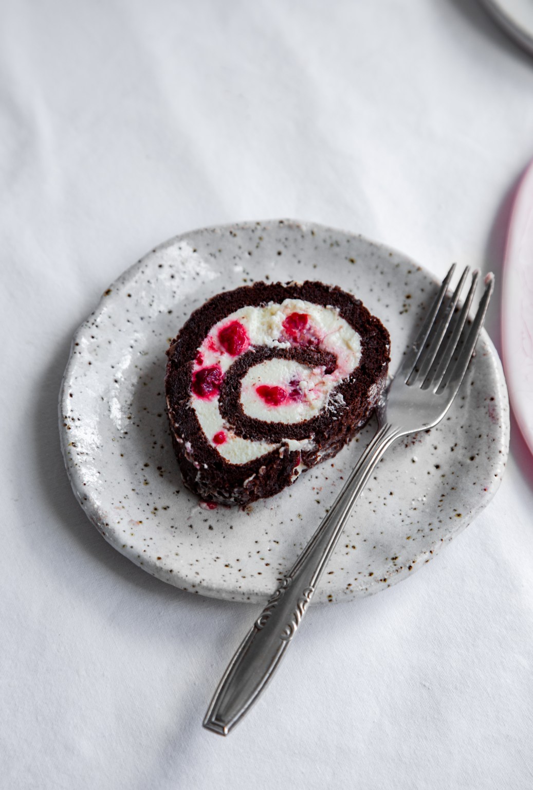 Chocolate and Raspberry Roulade – Beyond Our Sky