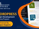 Wordpress Plugin Development Training In Dubai