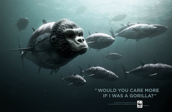 Wwf Ads With Words