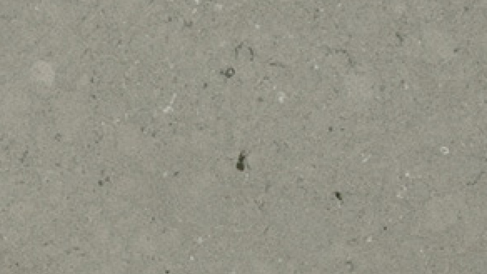 Eezi & Pro Quartz - BHM Granite & Marble South Africa