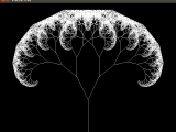 Visualizing Fractal Trees Colan Biemer