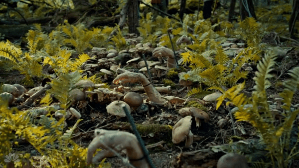 Guest Blogger London McGuire Looks Back On Hannibal Season 1 – The ...