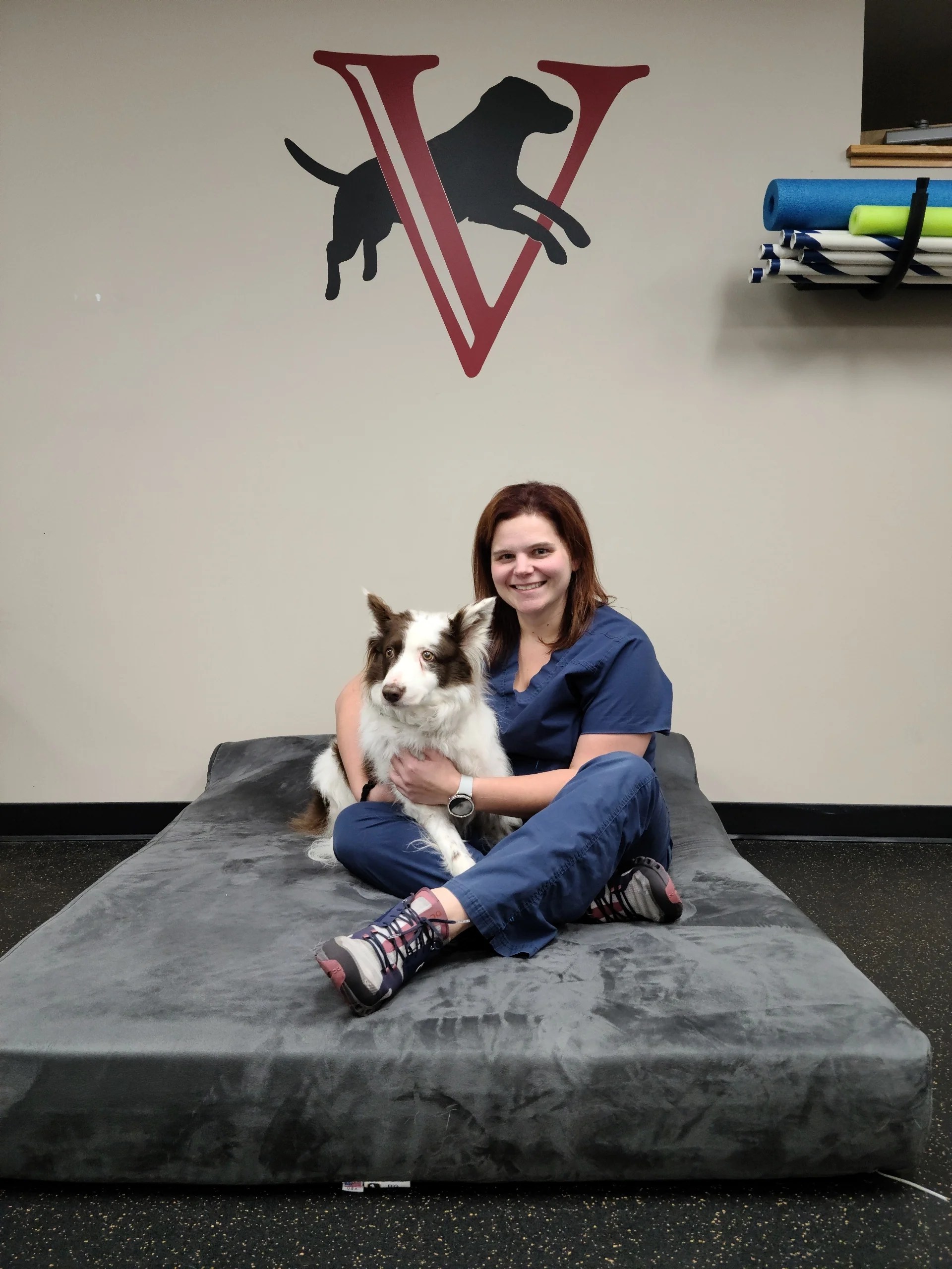 Vet Rec Veterinary Rehabilitation Exercise Clinic Of The Carolinas