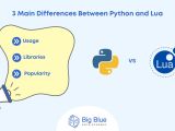 Python Vs Lua Main Differences 2024