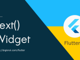Say Hello To Flutter Text Widget Bigknol