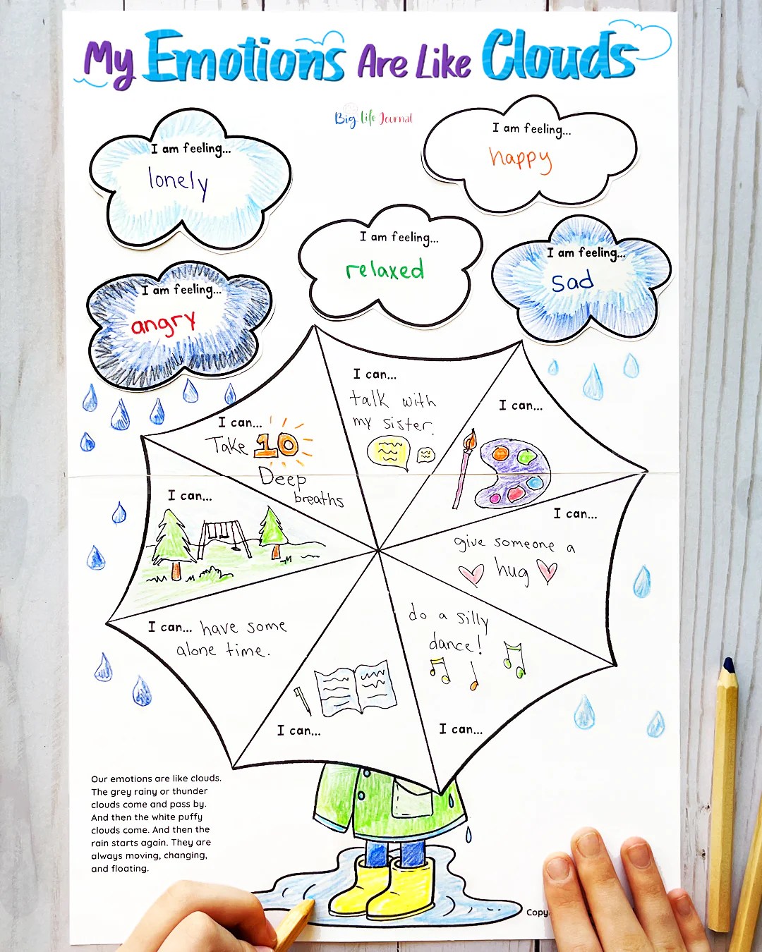 Emotional Intelligence Kit Pdf Ages 5 11 Big Life Journal