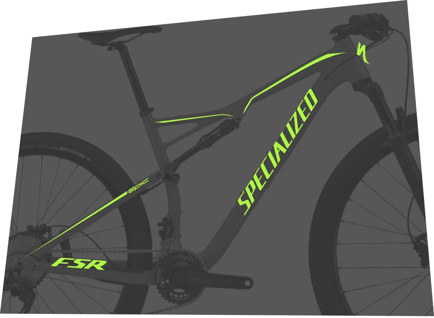 Specialized