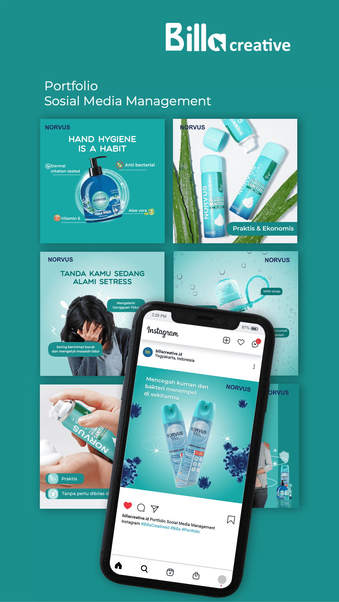 Portfolio Billa - Billa Creative - Social Media Management