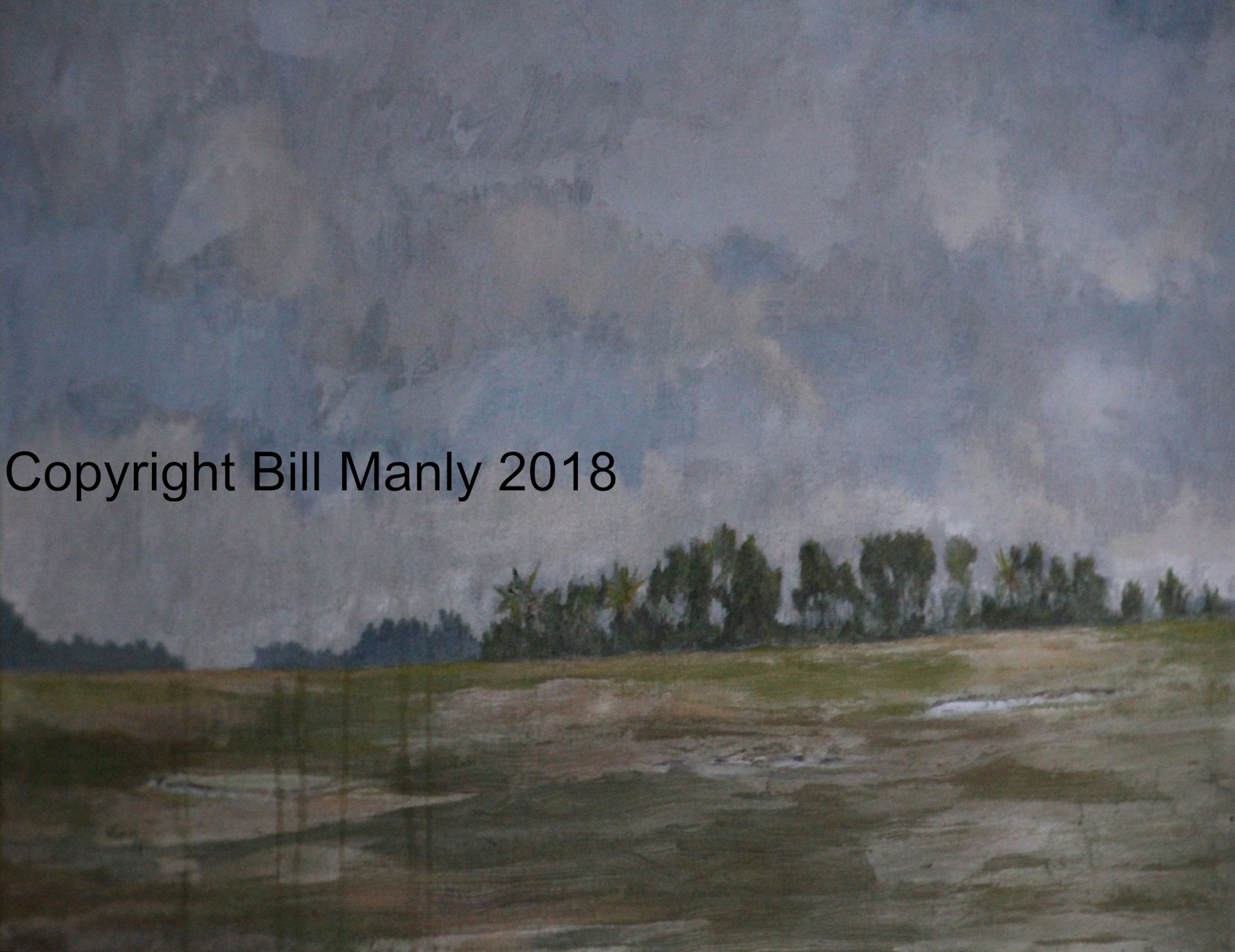 Landscapes – Bill Manly