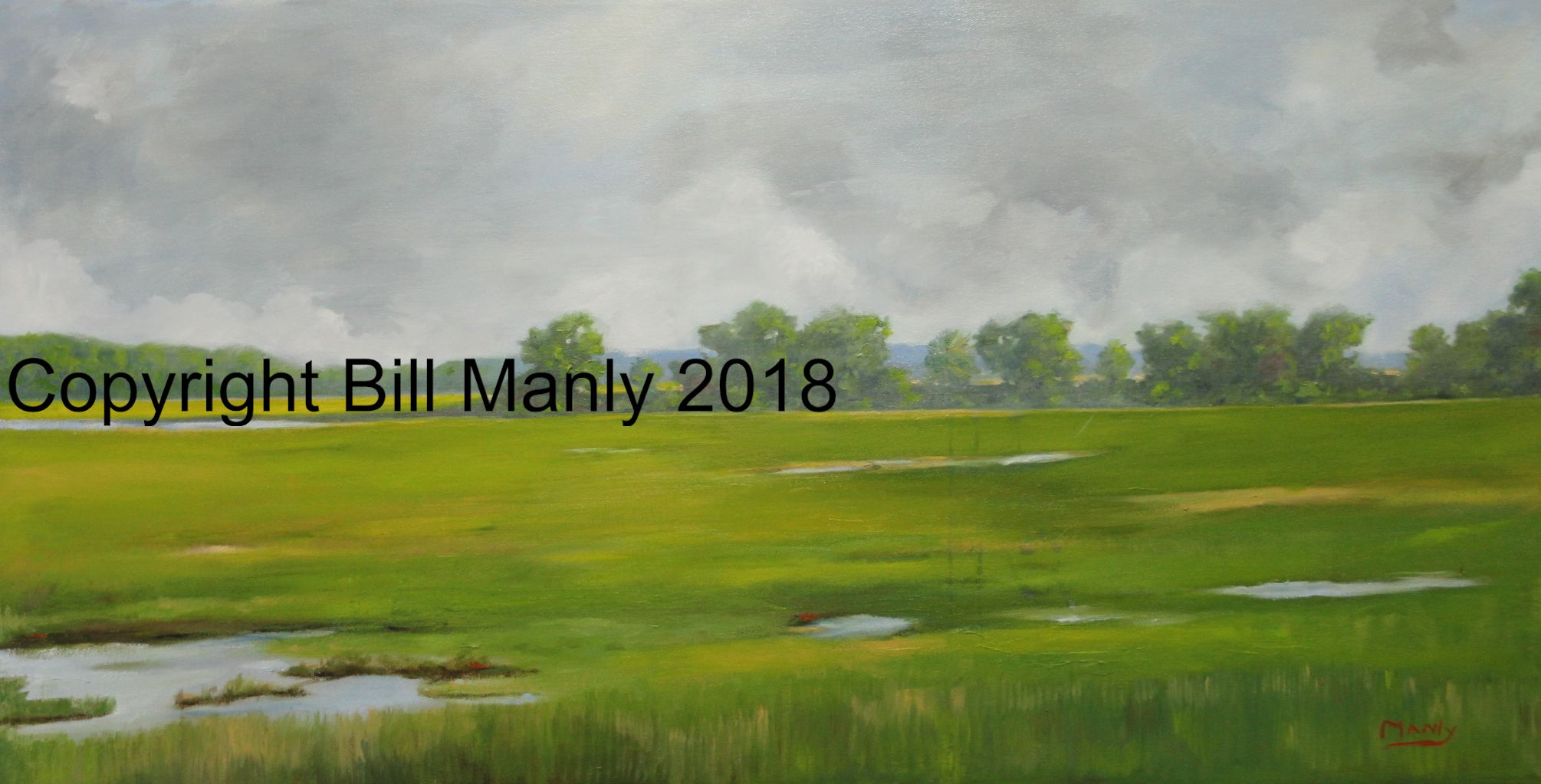 Landscapes – Bill Manly