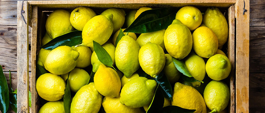 Kementan Bantu Distribusikan Lemon Petani | Bimata