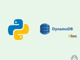 Get A Single Item From Dynamodb Table Using Python Binary Guy
