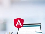 Best Angularjs Development Company Binmile