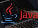 Top Java Development Company Binmile