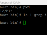 Postgresql Initdb는 왜 하는 걸까 달리는꼬마