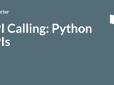 Api Calling Python Apis Biochatter