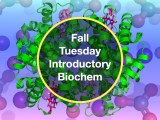 Learn Biochemistry Online Best Chemistry Online Class Middle School