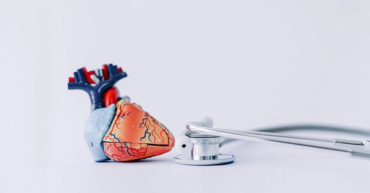 Cholesterol and Vitamin D3 - Biodal Jo