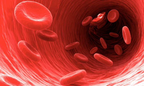 Human platelets successfully generated using next-generation bioreactor