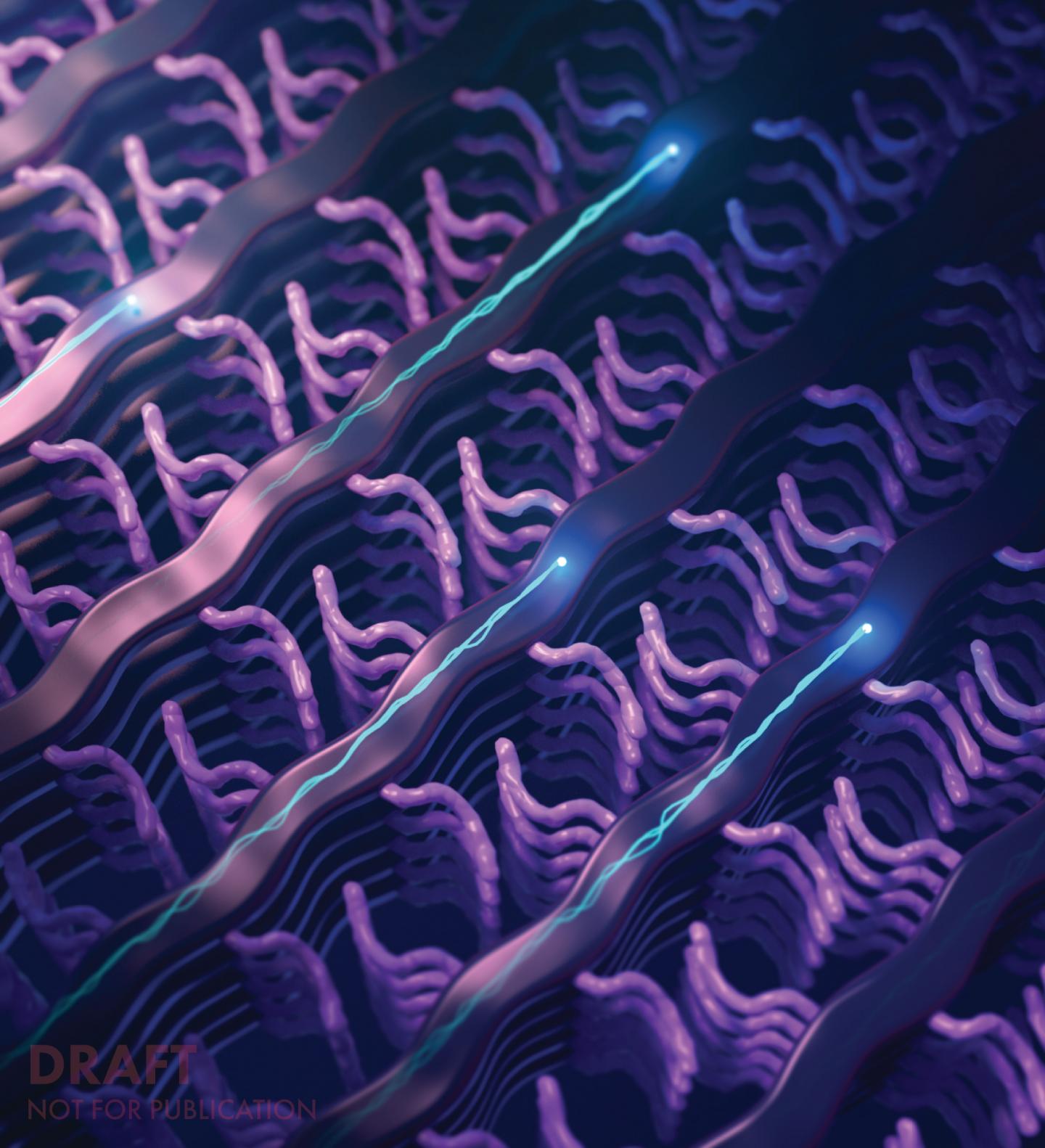 Building a better biosensor polymer - American Biotech News