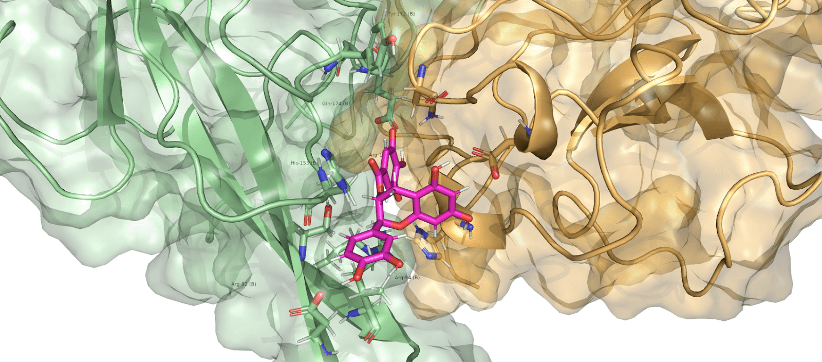 image_large – BioExcel – Centre of Excellence for Computation ...
