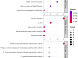 Github Jusetiz Pyscript For Ct Python Scripts For Ct Comparative