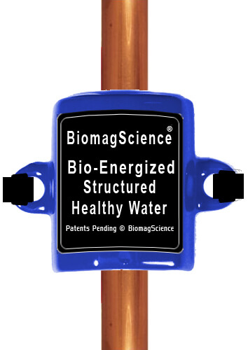 BiomagScience Structured Bio-Energized Structured Water Line Energizer ...