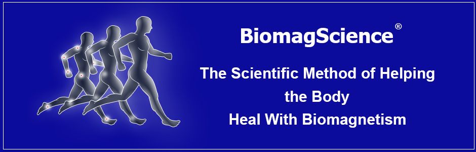 Best Magnets For Healing | Biomagnetic Therapy Products